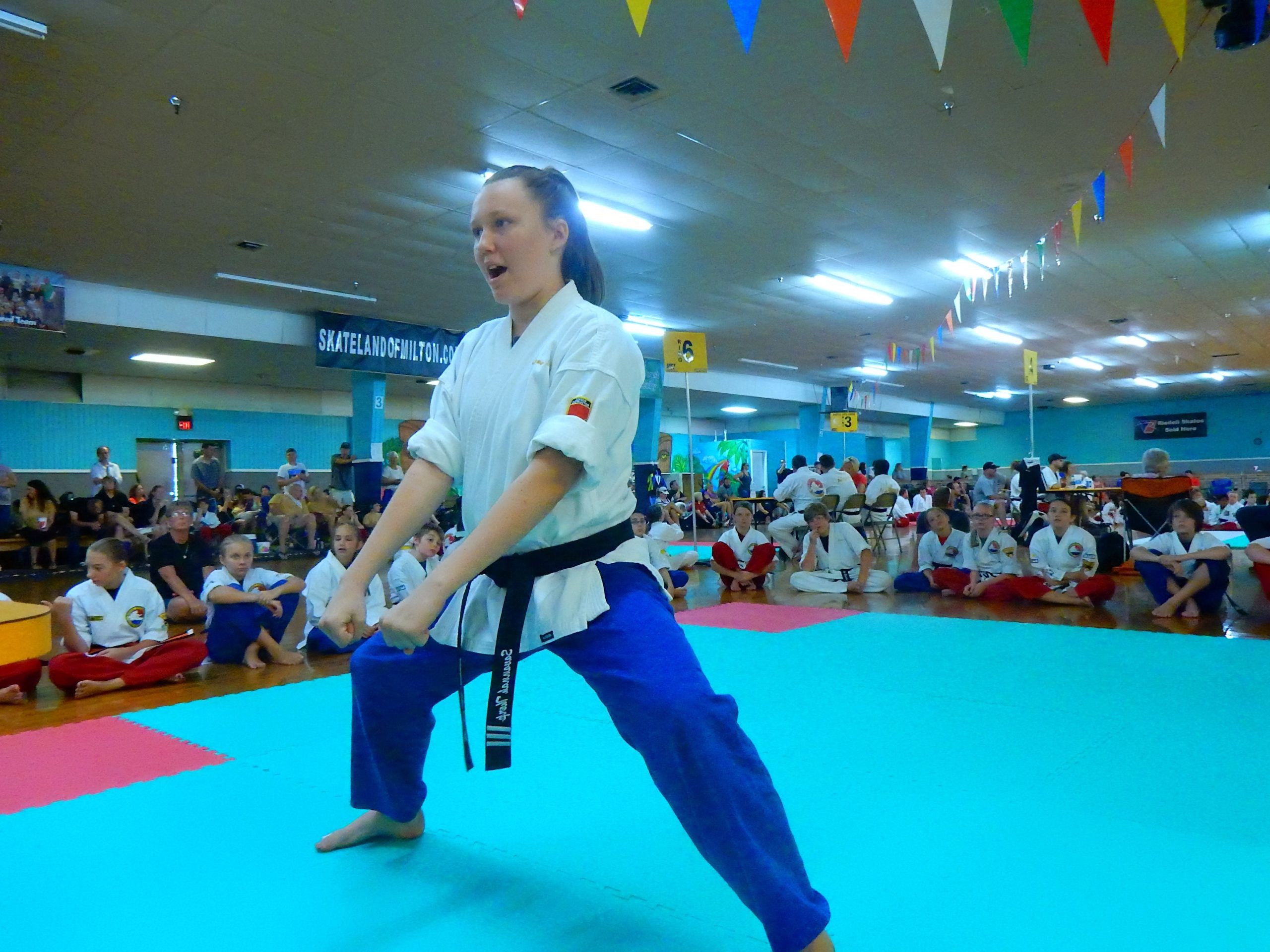 Martial Arts America presents year's final tournament | Santa Rosa ...