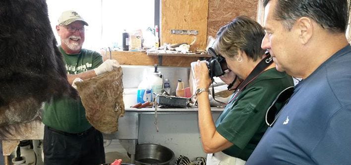 Safety Tips regarding alligators | Santa Rosa Press Gazette