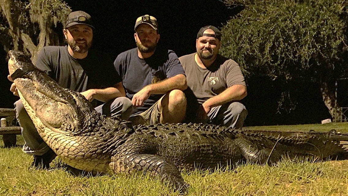 3 men kill alligator in Yellow River | Santa Rosa Press Gazette