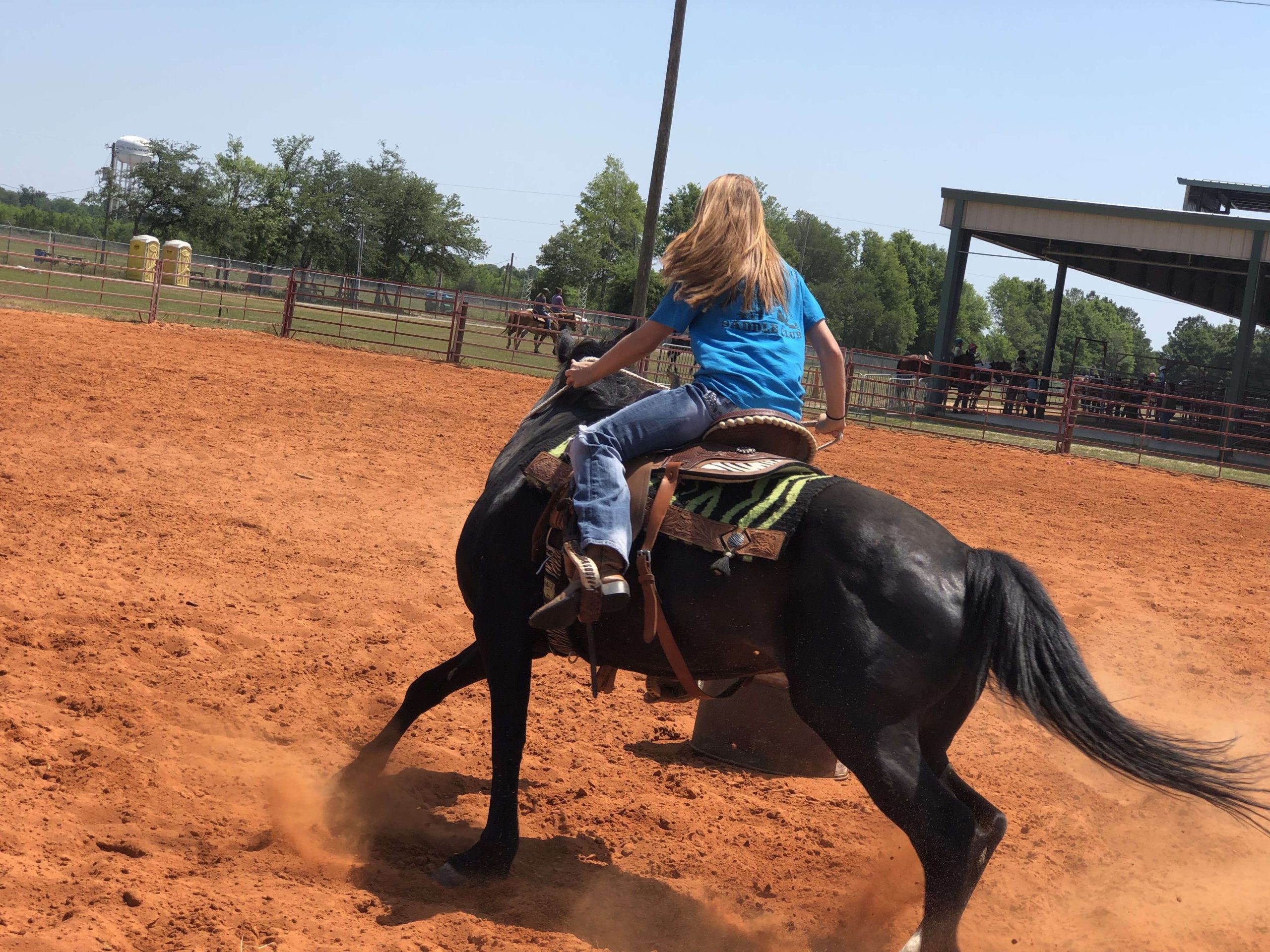 See local horse races | Santa Rosa Press Gazette