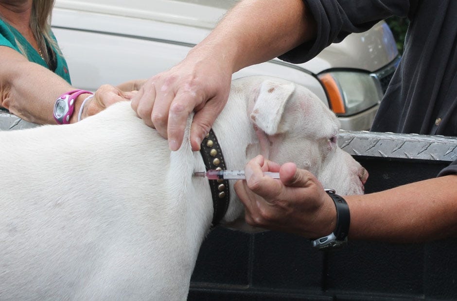 'Drive-through' rabies clinic coming | Santa Rosa Press Gazette