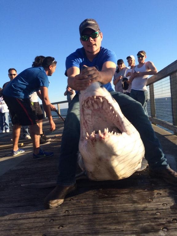 Man catches big mako in Navarre | Santa Rosa Press Gazette