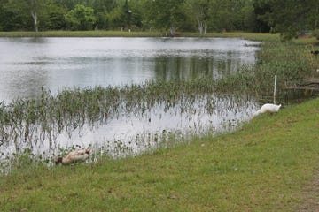 Basic serenity at Lake Kristina | Santa Rosa Press Gazette