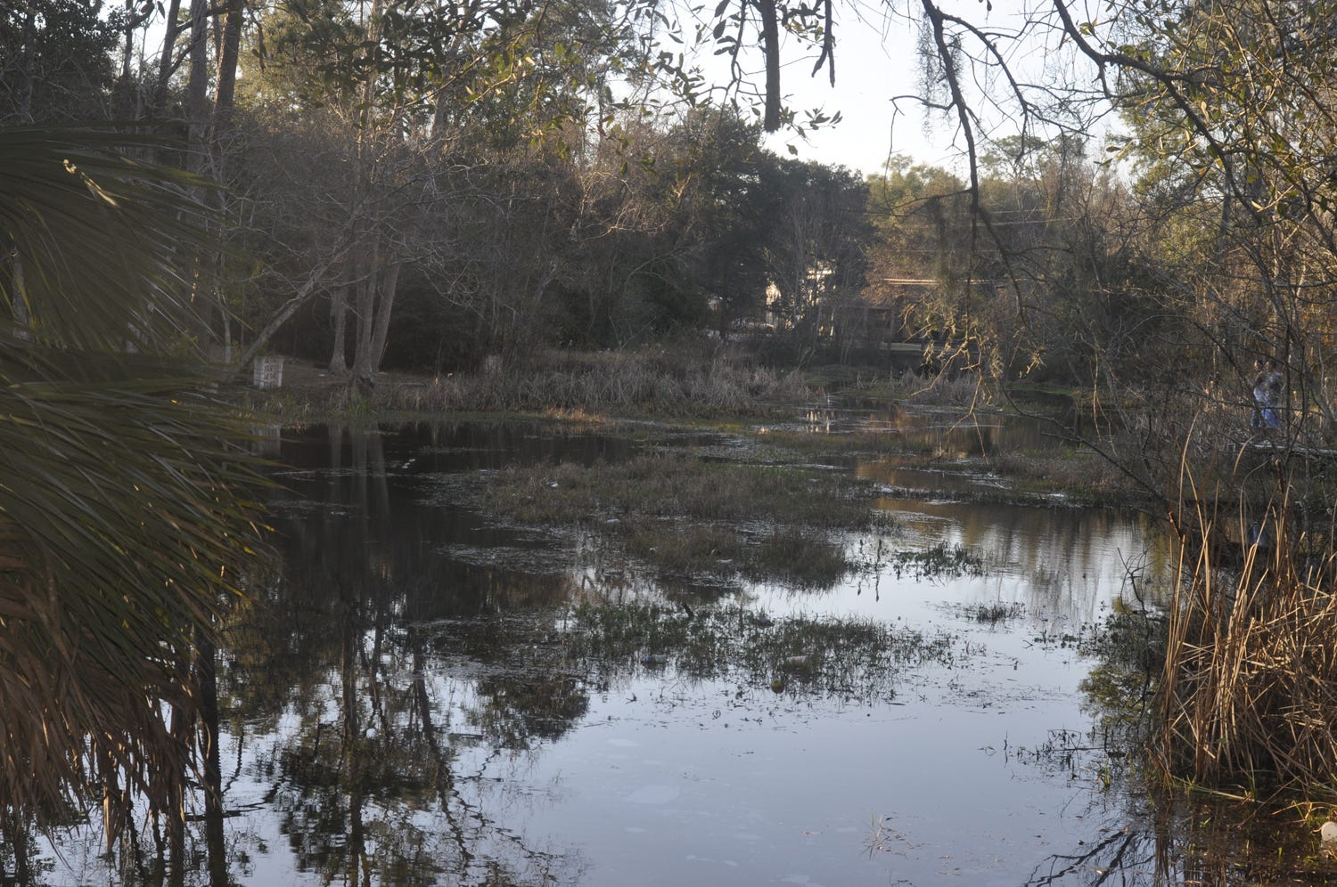 Mayor Meiss calls for meeting about condition of Locklin Lake | Santa ...