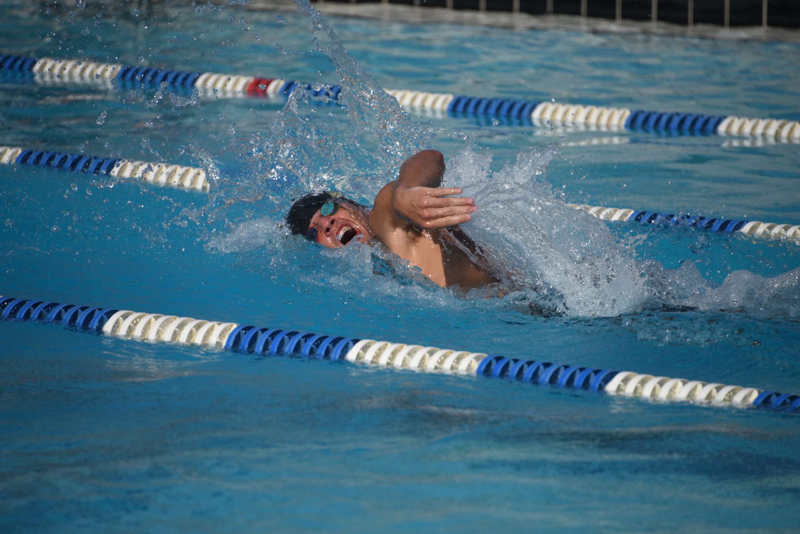 Noah Day helping to lead way for Milton swim team | Santa Rosa Press ...