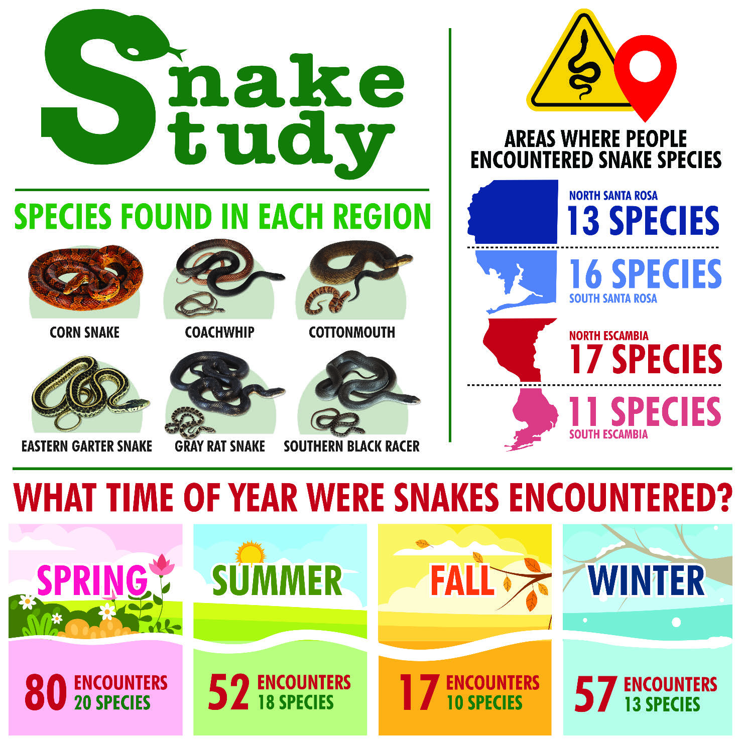 Second annual Pensacola Bay Snake Report provides insight into serpent ...