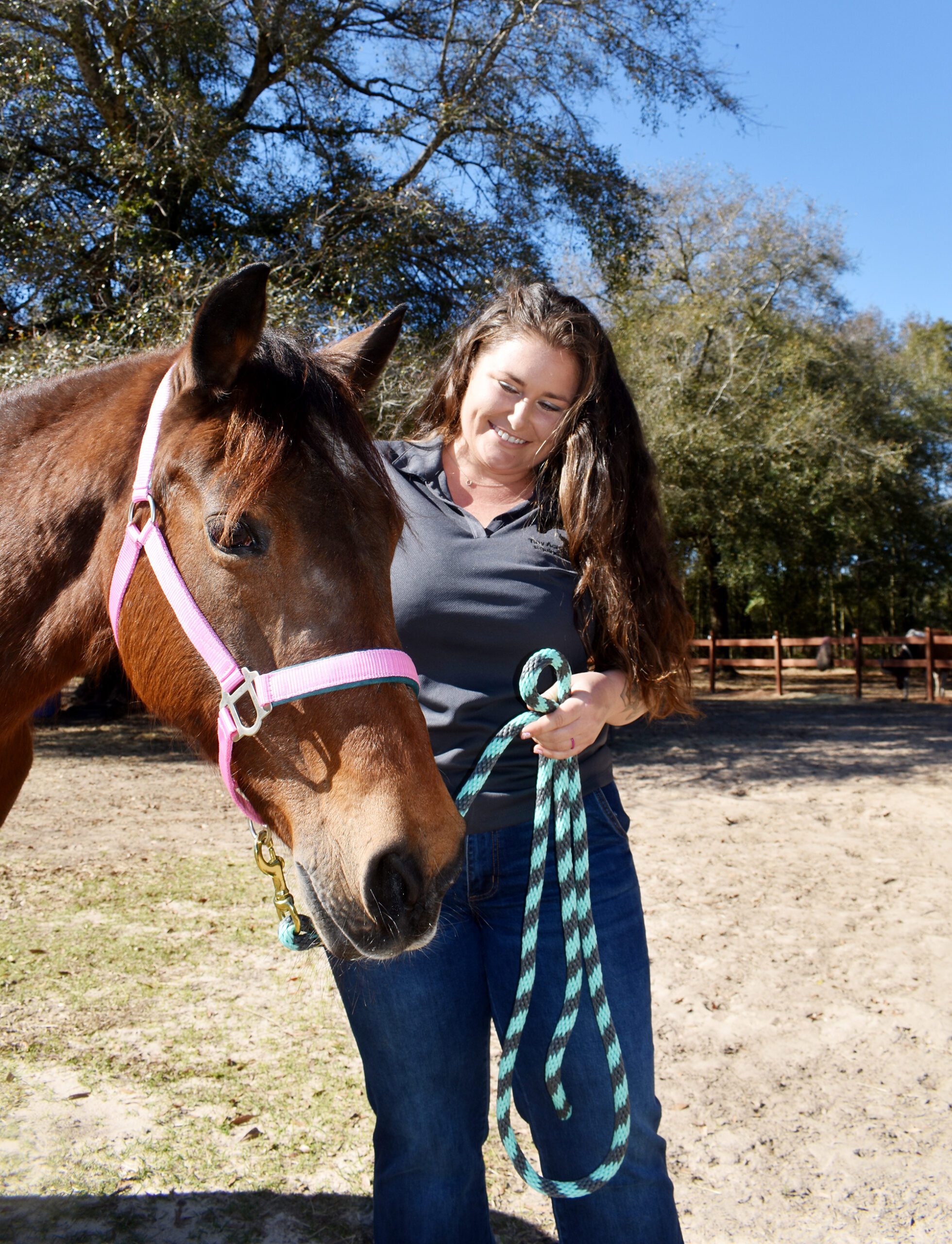 Share the love: Valentine’s Market to benefit Tiny Acres horse rescue ...