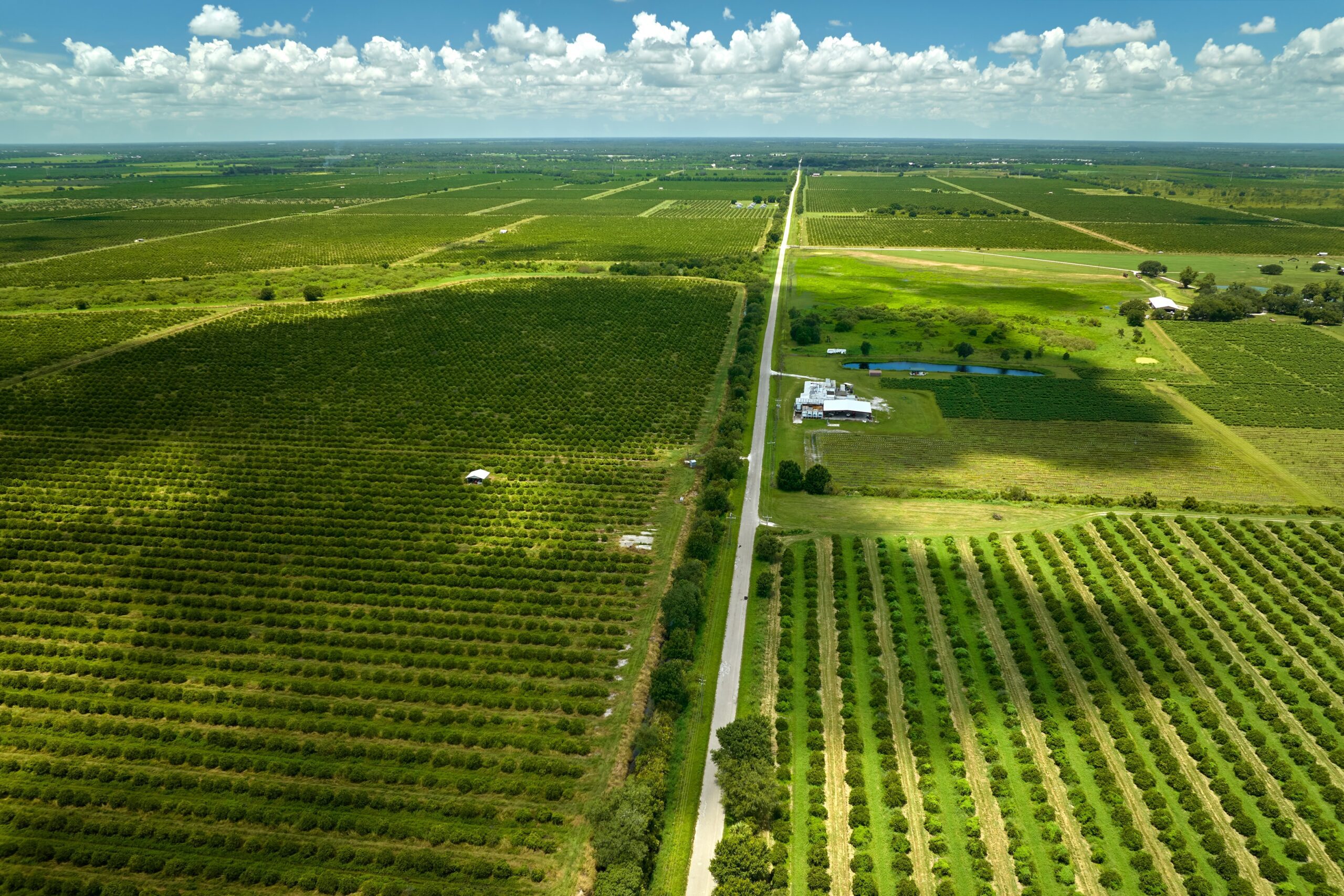 DeSantis, cabinet consider land deals | Santa Rosa Press Gazette