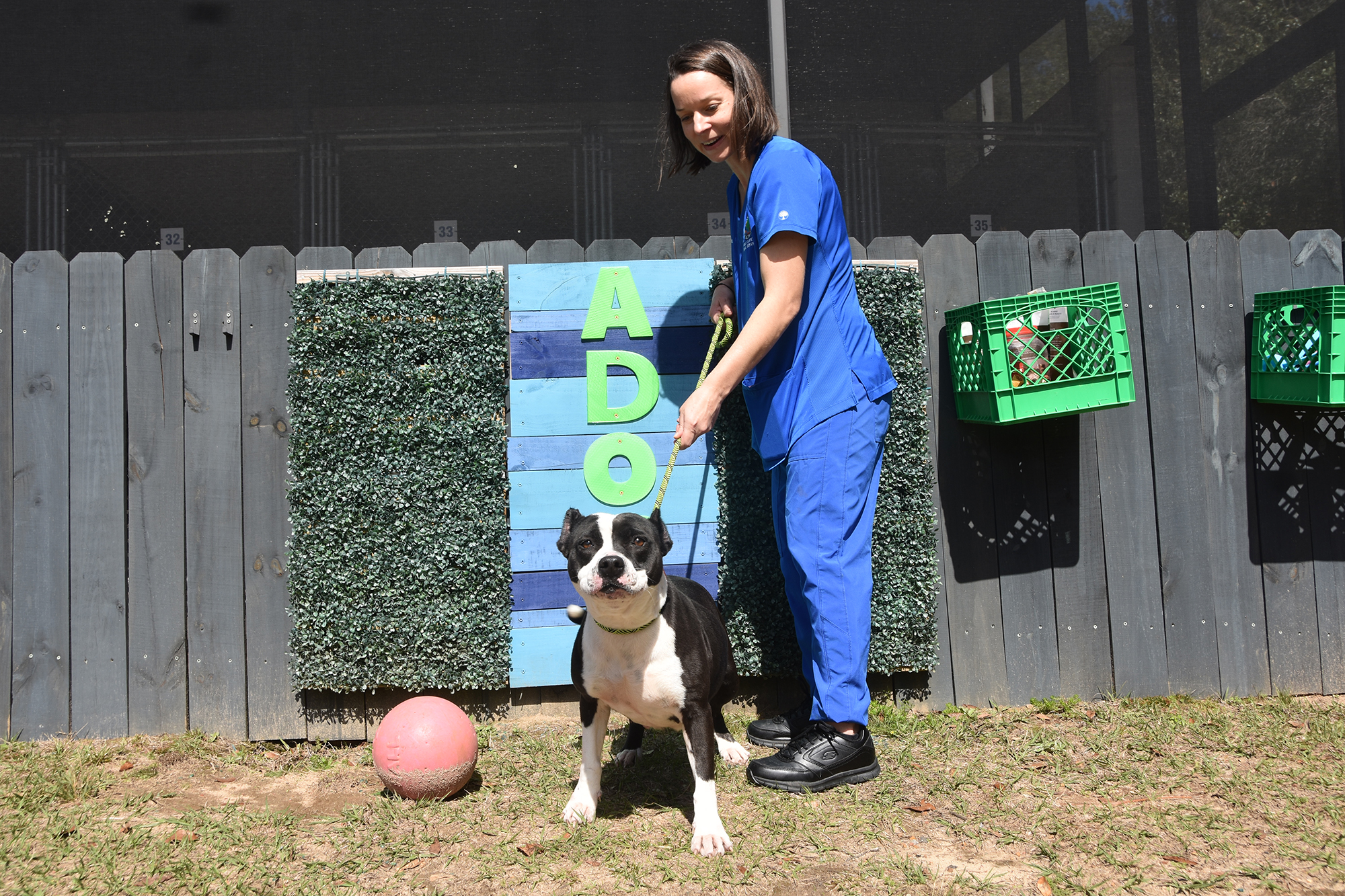 Saving animal lives with kennel sponsorships | Santa Rosa Press Gazette