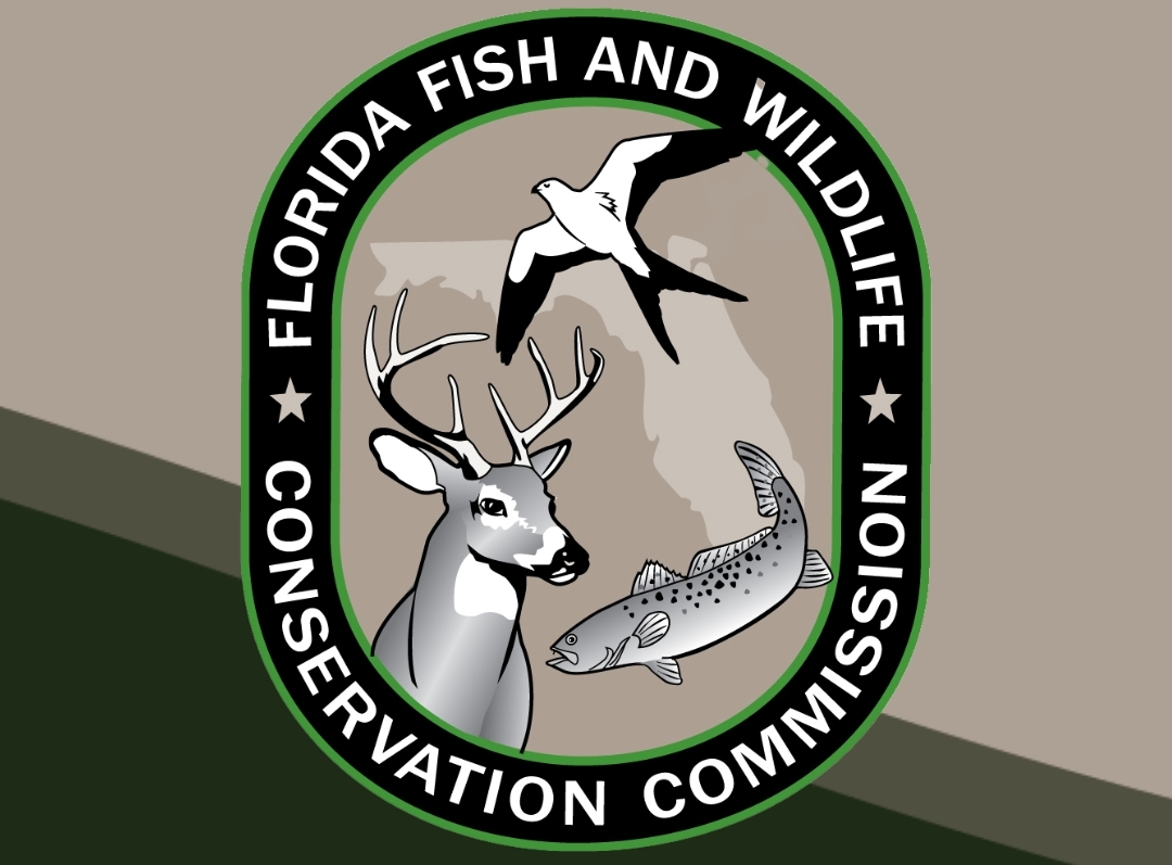 FWC: Man dies after falling from tree stand near Jay | Santa Rosa Press ...