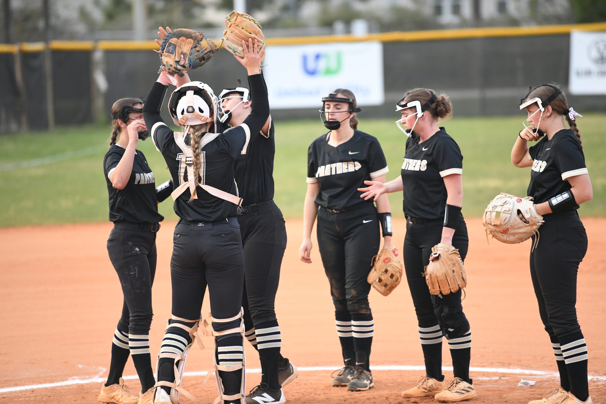 Panthers have put together best season in nearly a decade | Santa Rosa ...